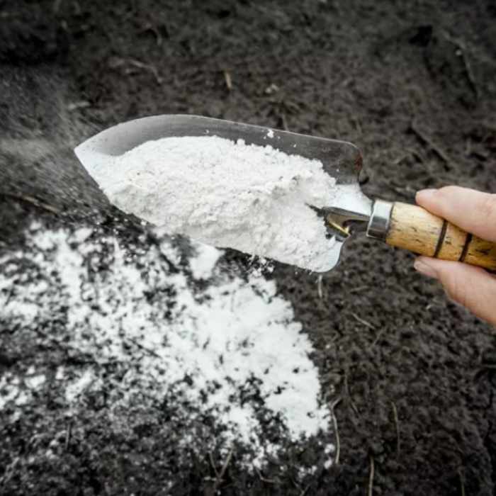 Anti-Moisture Powder - Renol Polychem Limited